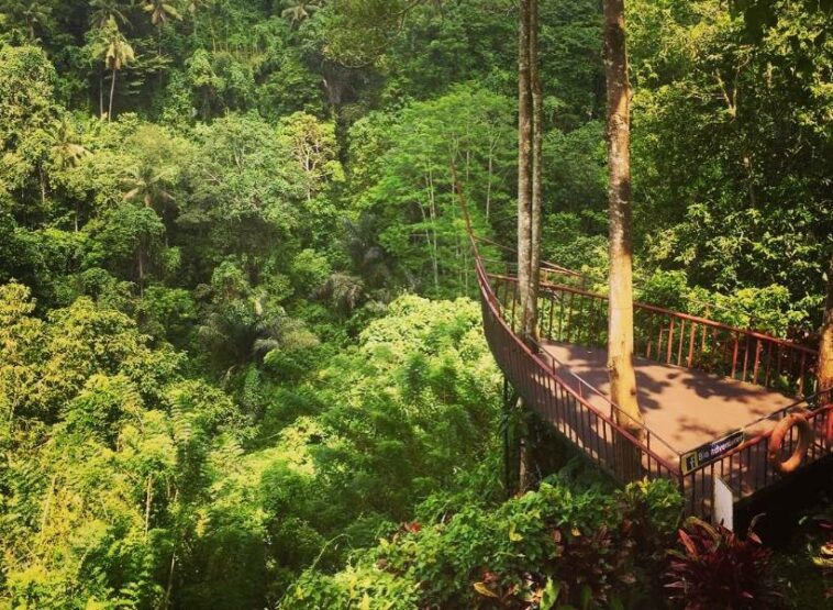 Melipir di Lembah Tanah Wuk Bali yang Kian Asri dan Teduh