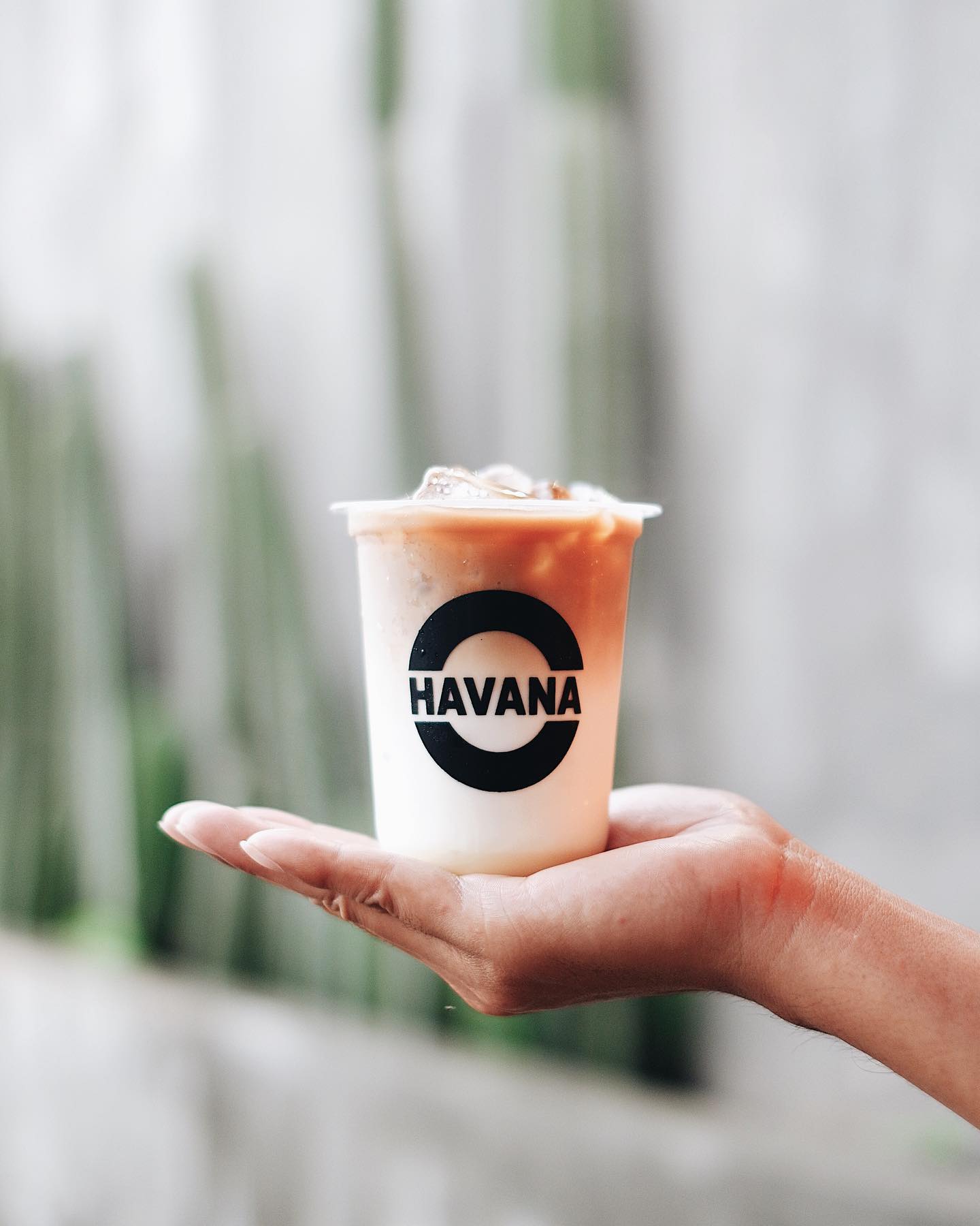 Havana Kopi Tuban, Kafe Estetik Berkonsep Tropical Vibes