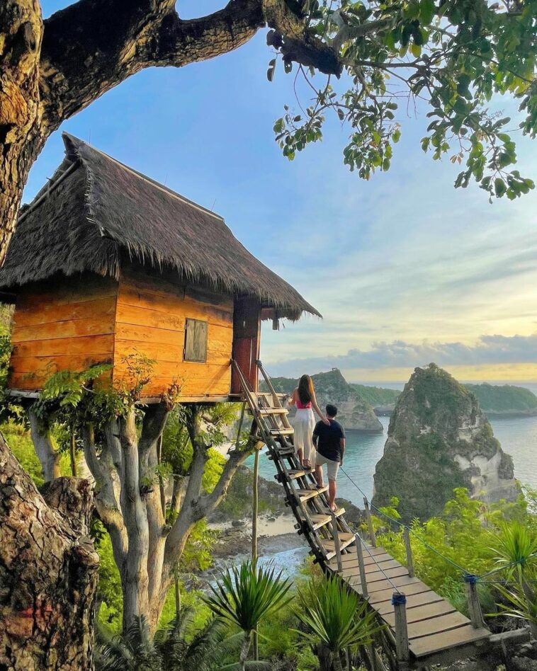 Ingin Tahu Bagian Dalam Molenteng Tree House yang Sering Diincar ...