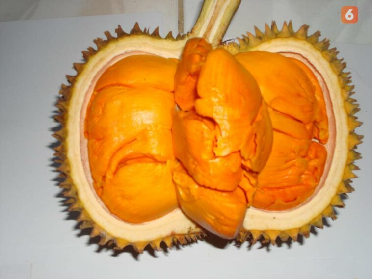 7 Rekomendasi Oleh-Oleh Khas Berau Untuk Mudik