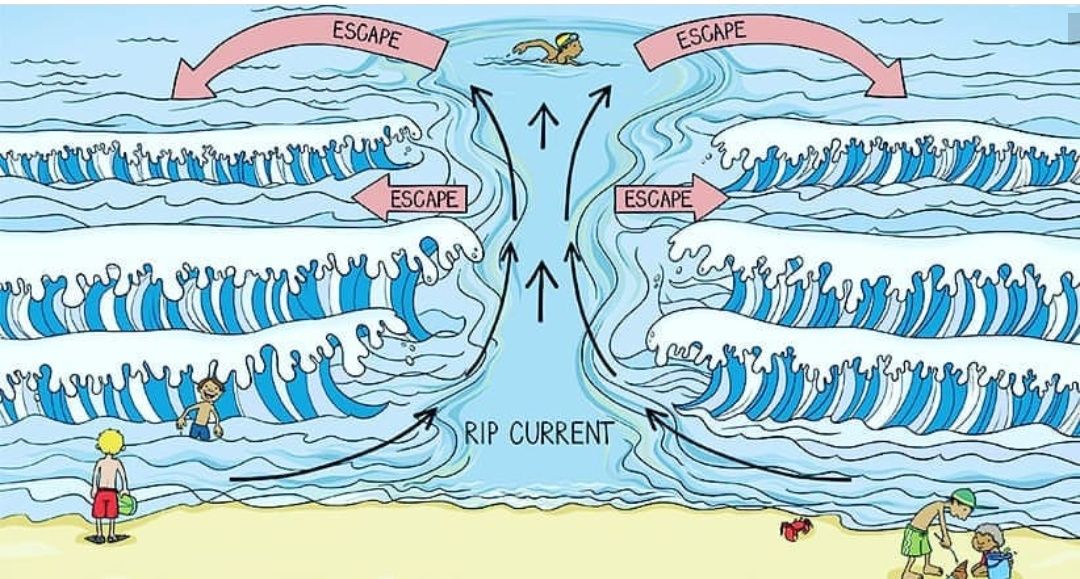 Waspada Bahaya Rip Current saat Berenang di Laut, Ini Ciri-Ciri dan ...