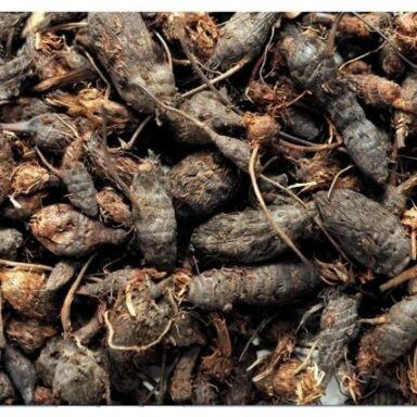 Tahukah Kamu, 5 Buah Unik dan Langka Hanya Ada di Pulau Lombok