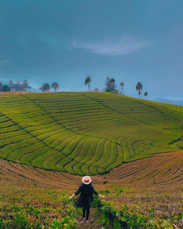 5 Pariwisata Lokal Terbaik di Indonesia, Cantik dan Kece