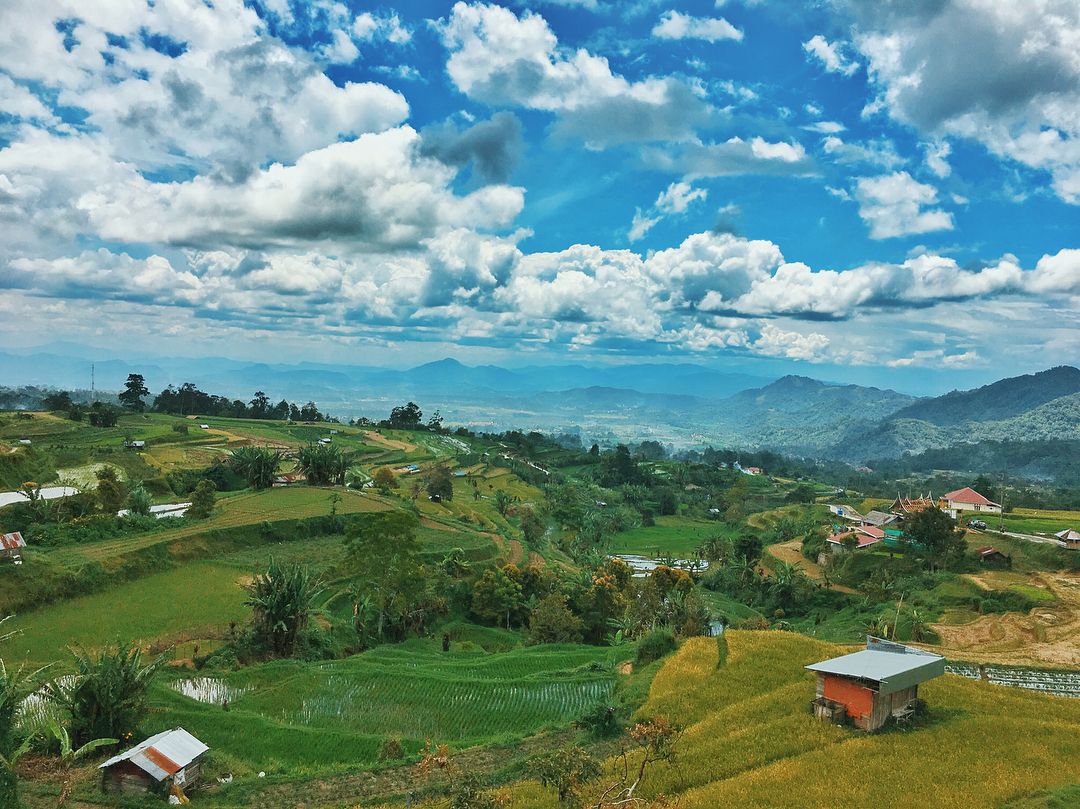 5 Sawah Terindah di Indonesia, Nomor 5 Seperti di Negeri Dongeng!