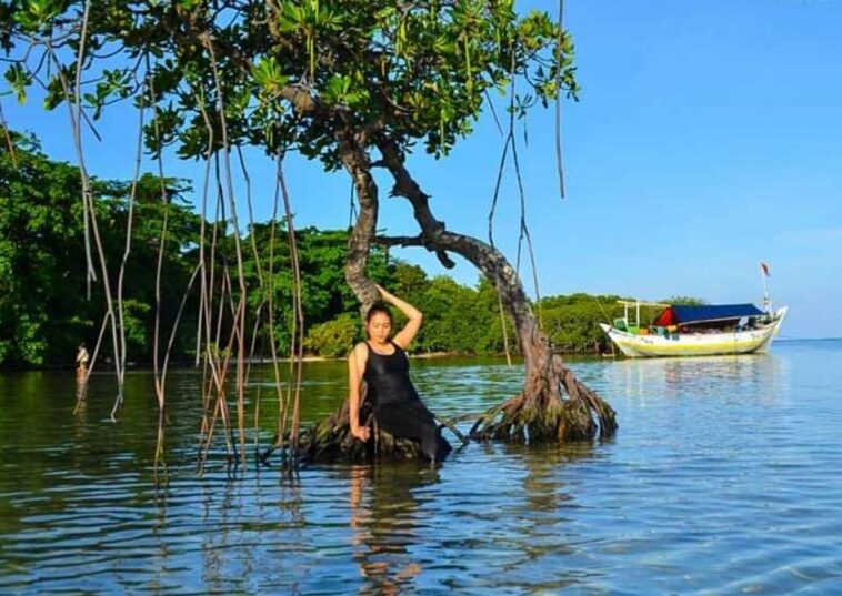 Nikmati Pulau Biawak Indramanyu, Tak Perlu Jauh-Jauh ke Pulau Komodo