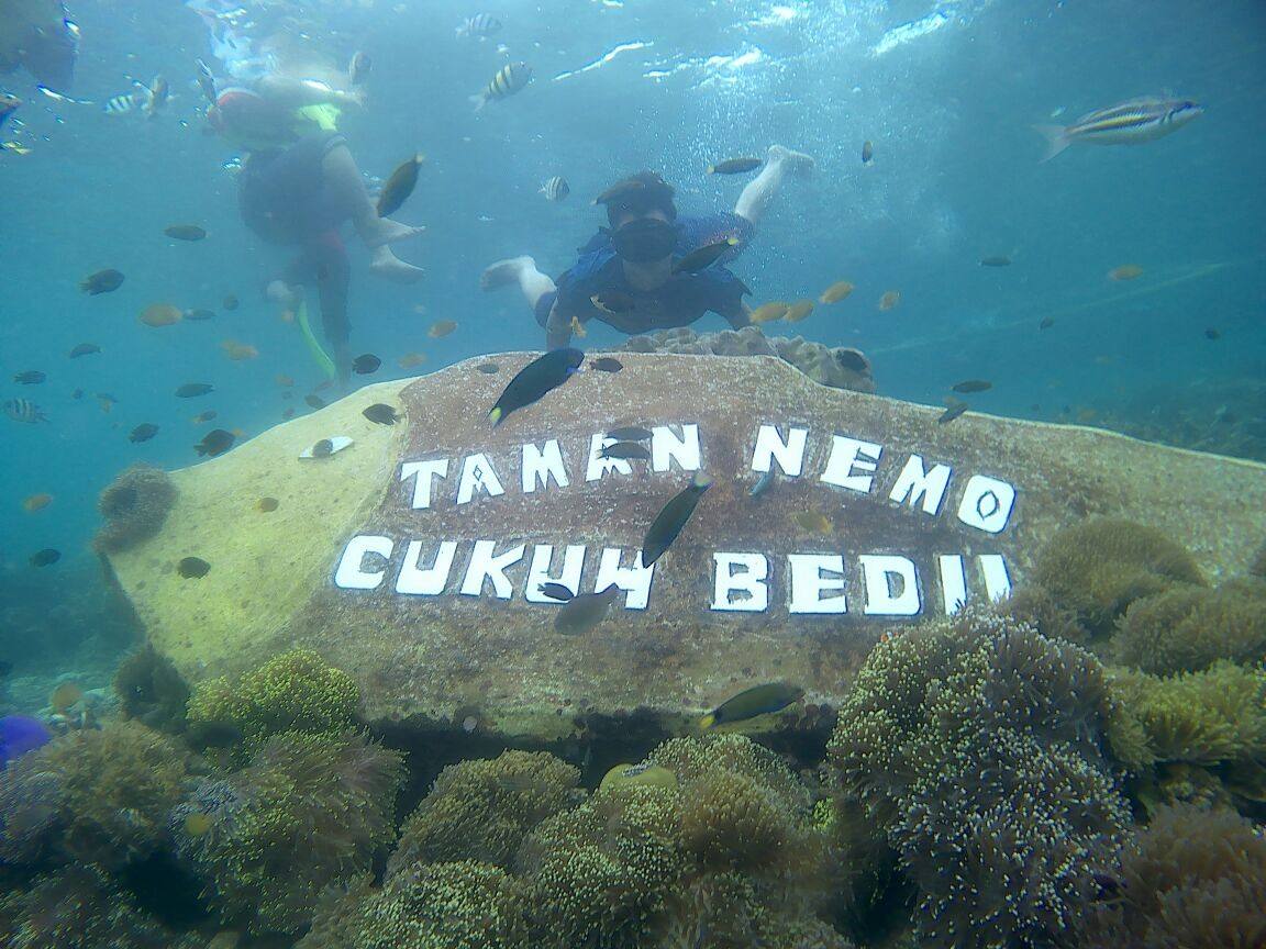 Takjubnya Biota Laut Pulau Badul Ujung Kulon, Cocok Bagi Pecinta Snorkeling