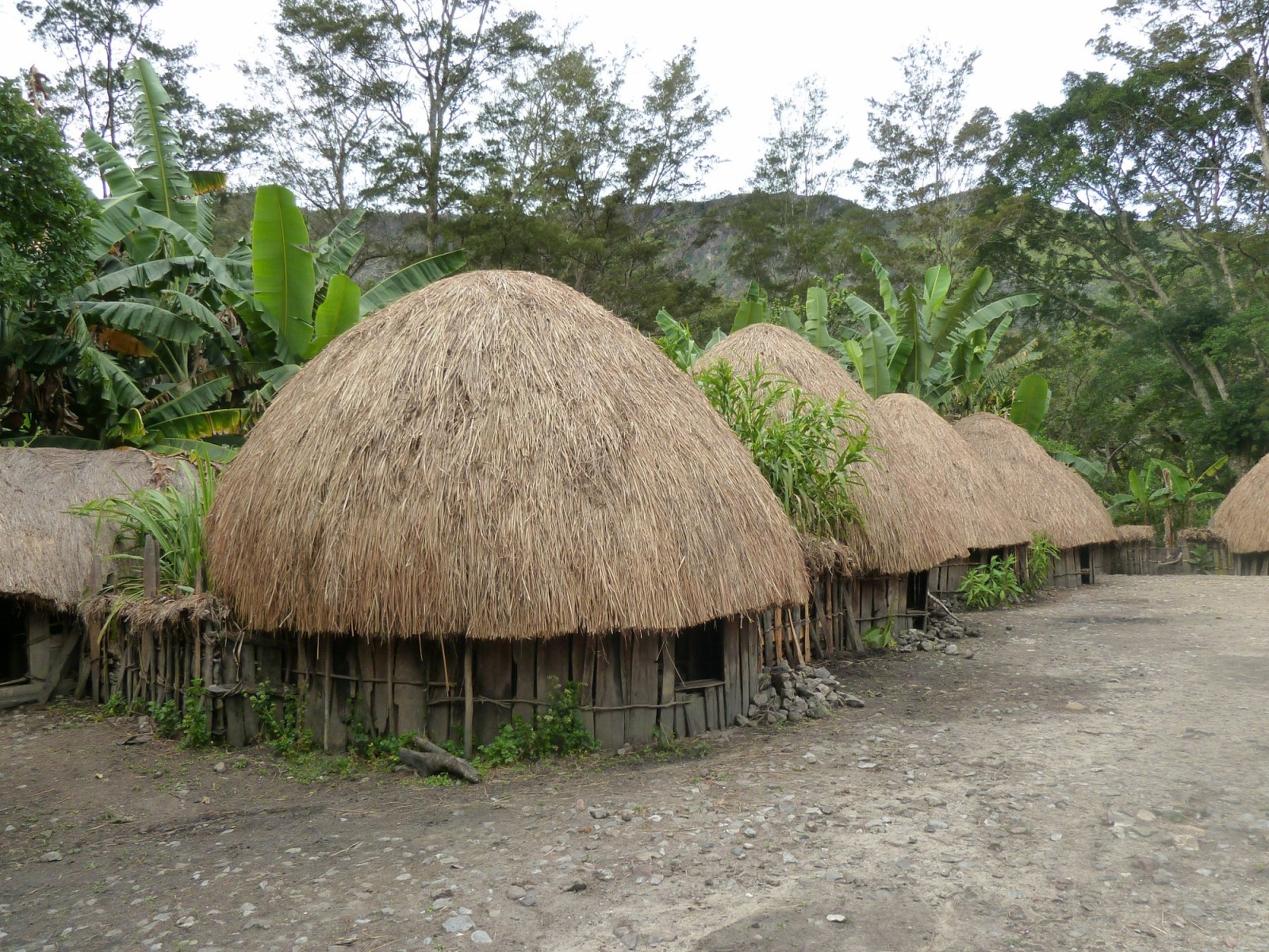 Rumah Adat Honai, Serunya Tempati Hunian Khas Papua
