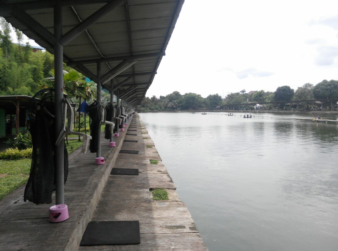 Telaga Mina, Wisata Pemancingan Keluarga Yang Mengasyikkan