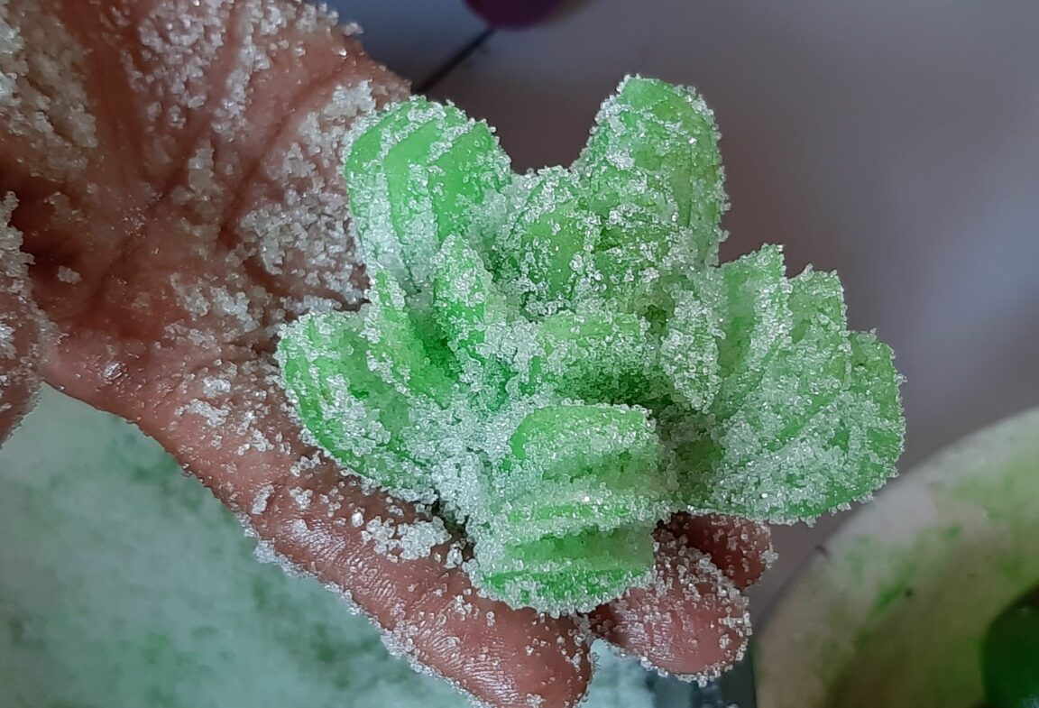 Buah Pala di Berbagai Sajian Masakan Nusantara