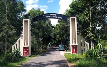 Taman Nasional Wasur, Surga Pecinta Alam di Papua dengan Kekayaan Flora ...