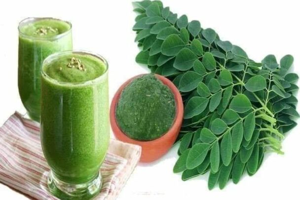 La Moringa, Satu-Satunya Resto Dengan Sajian Unik Serba Daun Kelor di ...