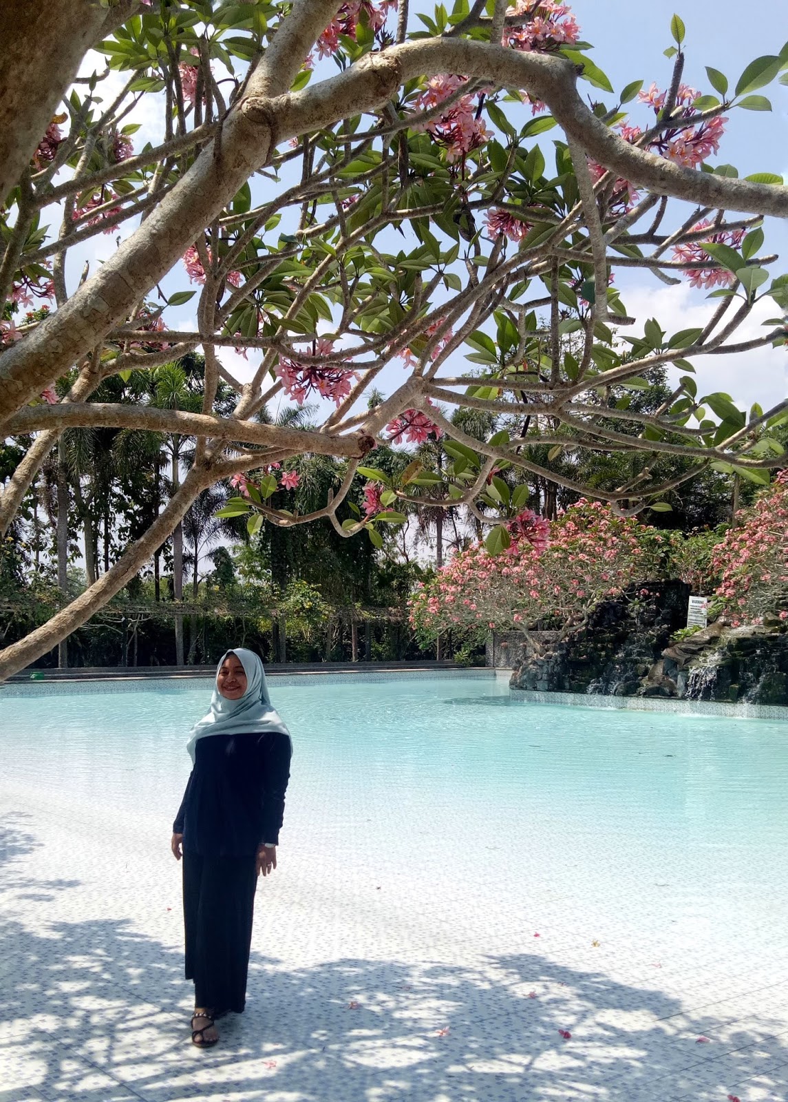 Indahnya Kolam Renang Asri Kimo Jember, Usung Konsep Taman dan Pantai ...