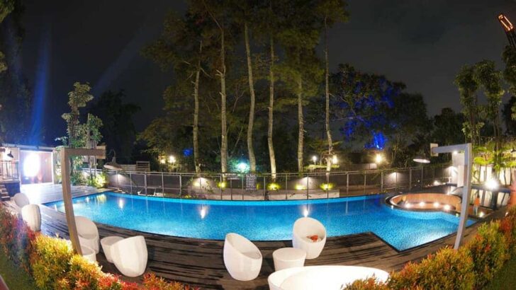 Kalpa Tree Dine and Chill Bandung, Sajian Unik Cafe Kekinian Pasang ...