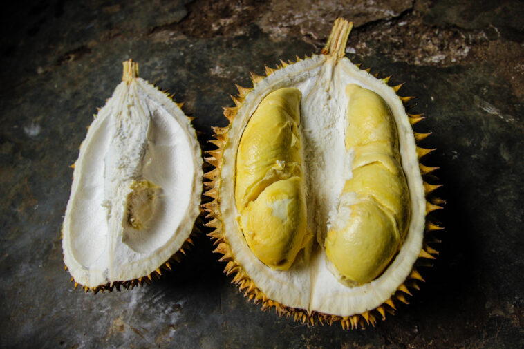 Musim Durian Saatnya Berburu Durian, Ini Peta Perburuan Durian Jalur ...