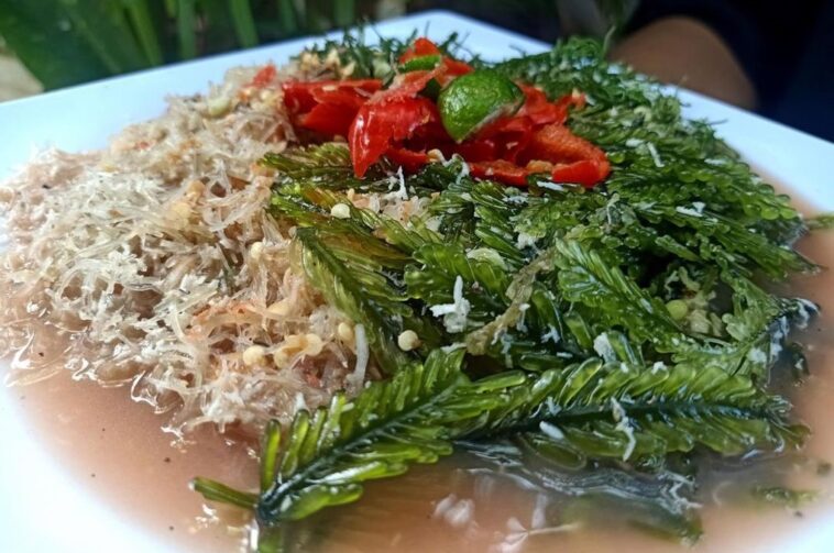 Rujak Bulung, Kuliner Khas Bali yang Terbuat dari Rumput Laut nan ...