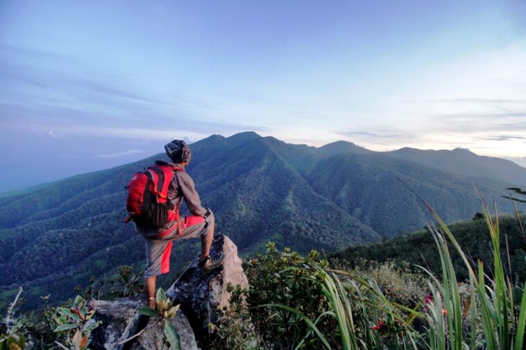 Sajian Edelweis Super Menakjubkan Di Jalur Pendakian Gunung Burni Telong