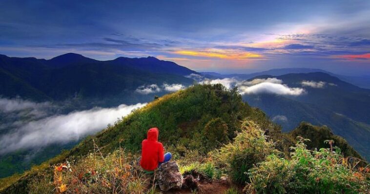 Sajian Edelweis Super Menakjubkan Di Jalur Pendakian Gunung Burni Telong